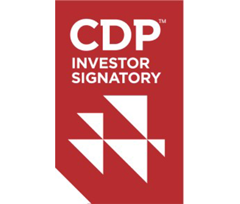 L’UMR renouvèle sa confiance au Carbon Disclosure Project | UMR